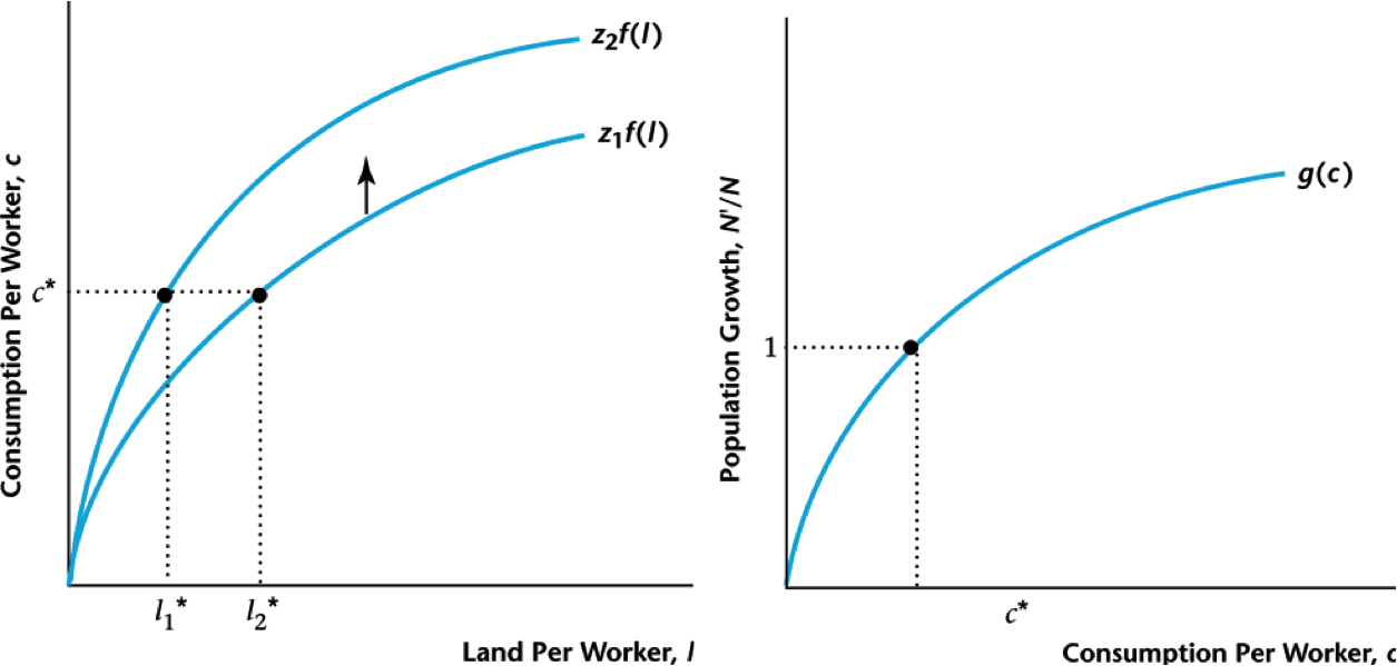 Intermediate Macroeconomics - Lecture 4